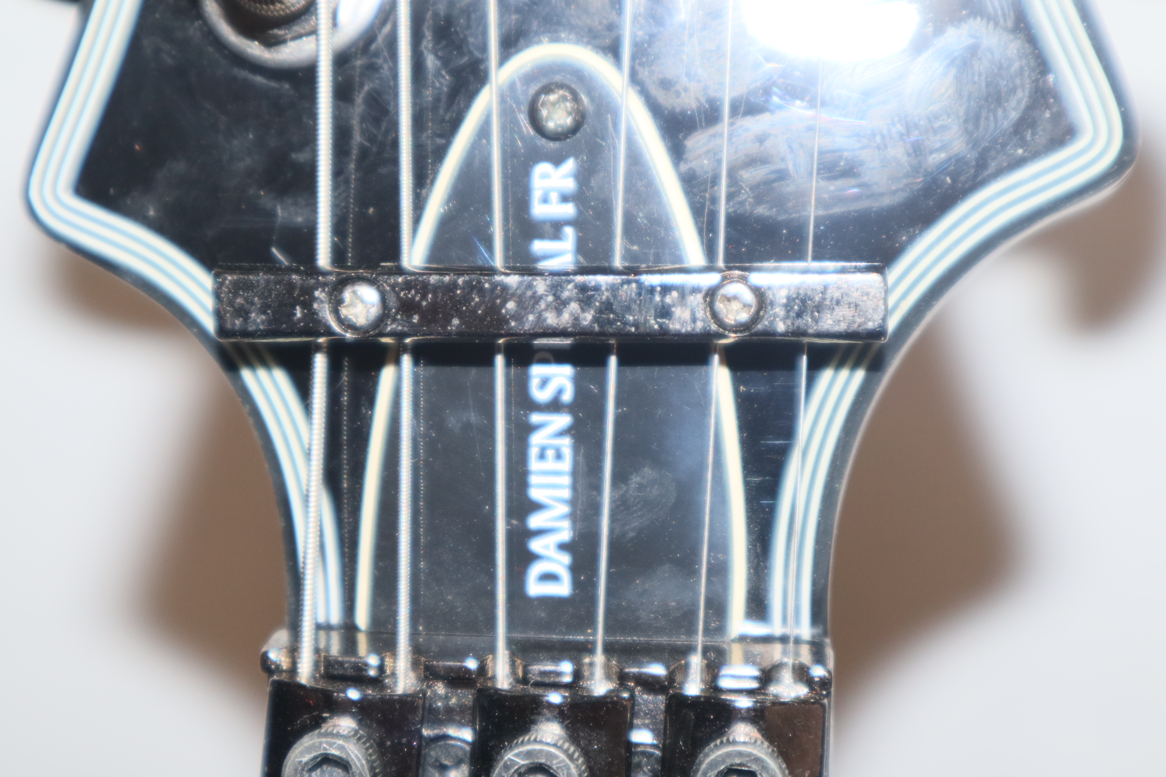 Schecter Guitar Research Diamond Series Damien Special FR Black ...