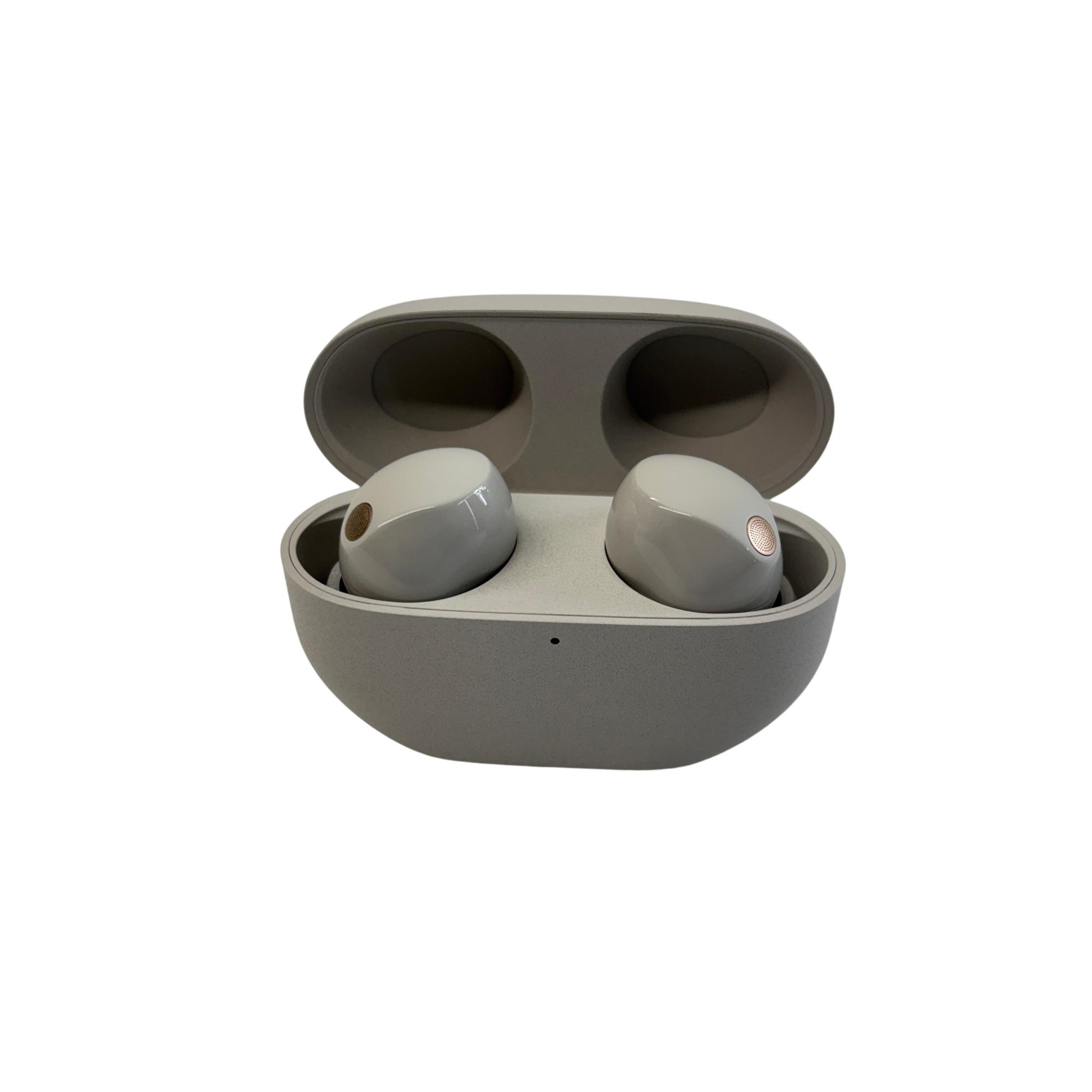 Sony WF-1000XM5 True Wireless Noise Cancelling Earbuds Gray