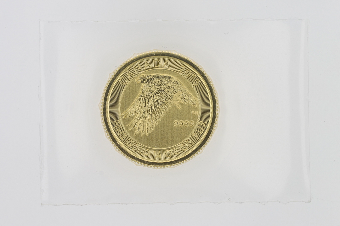 2016 Canada White Snow Falcon Elizabeth II $10 1/4 Oz. .9999 Fine Gold Coin