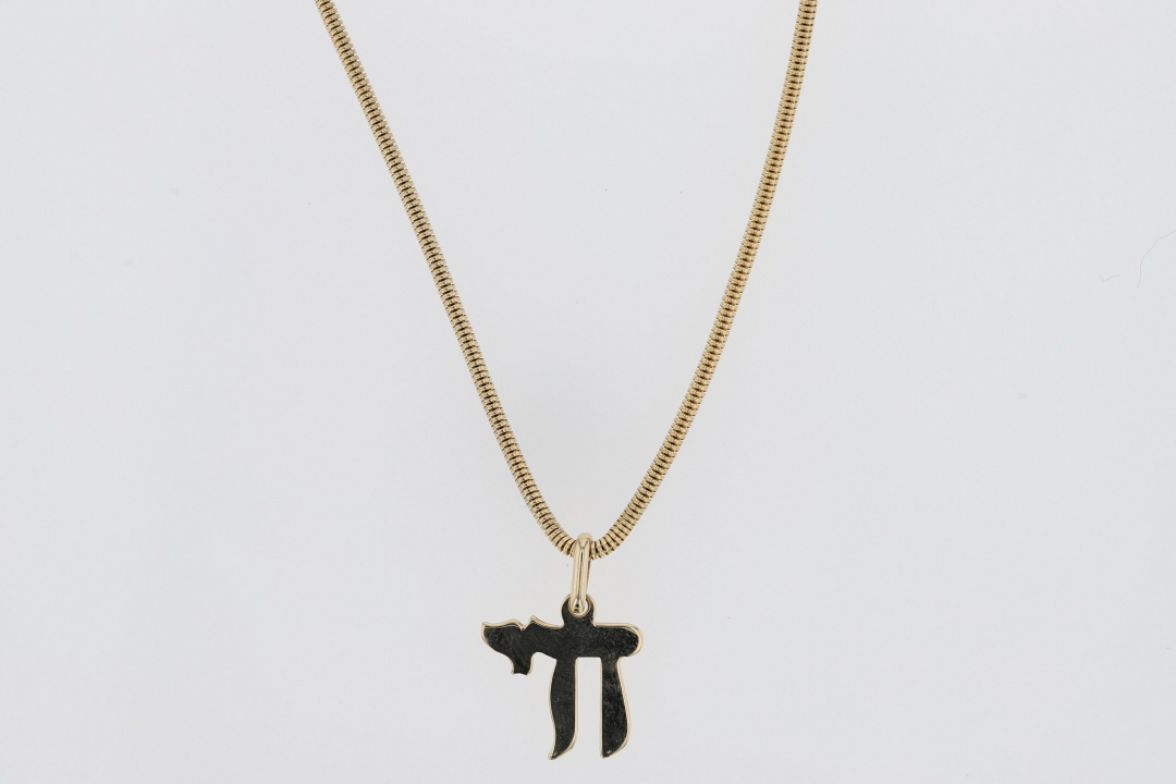 Hebrew Chai Symbol Pendant on 18.5" Chain Necklace 14k Yellow Gold 8.37 ...