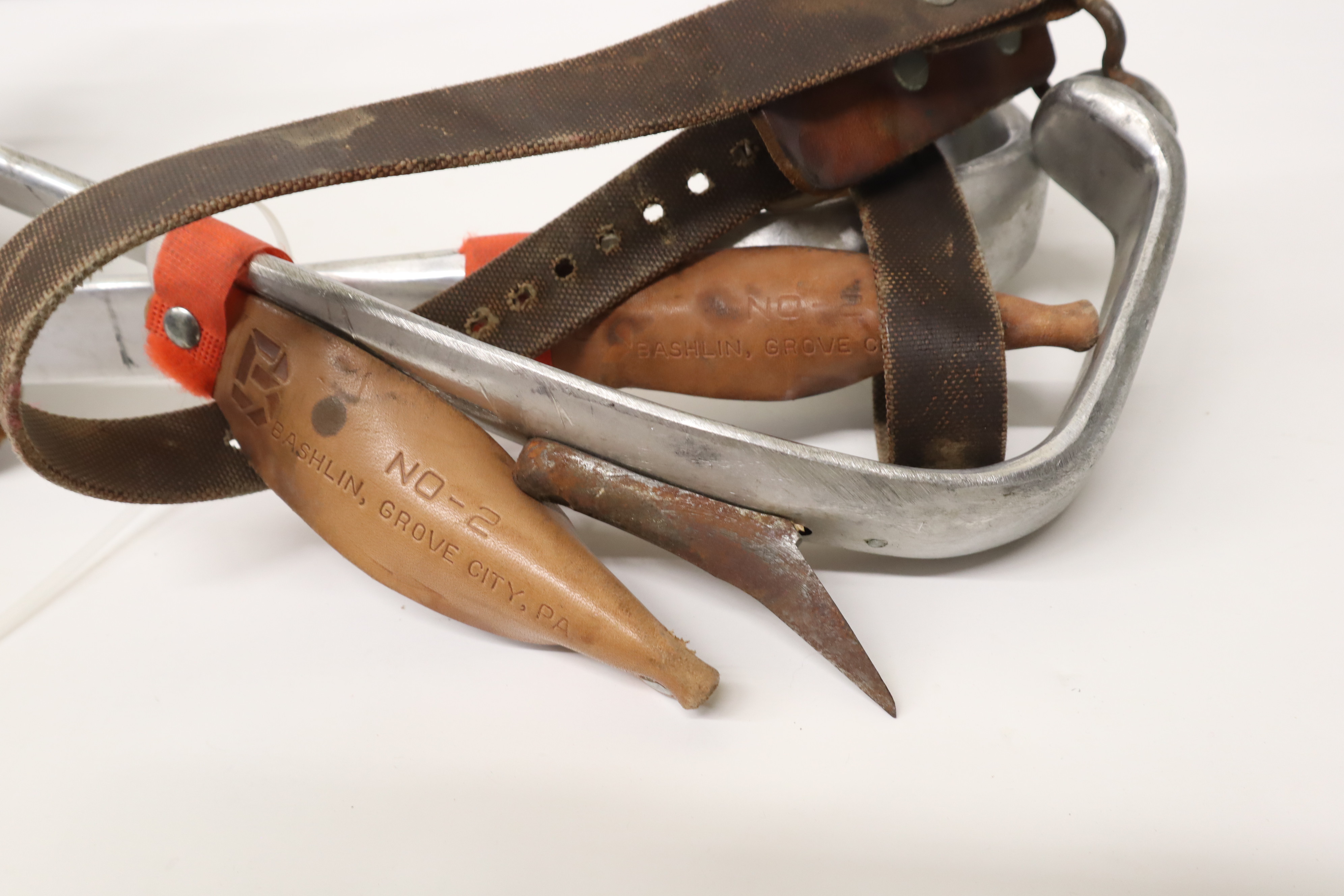 Bashlin 140DS Tree Climbing Spikes Pair 5950