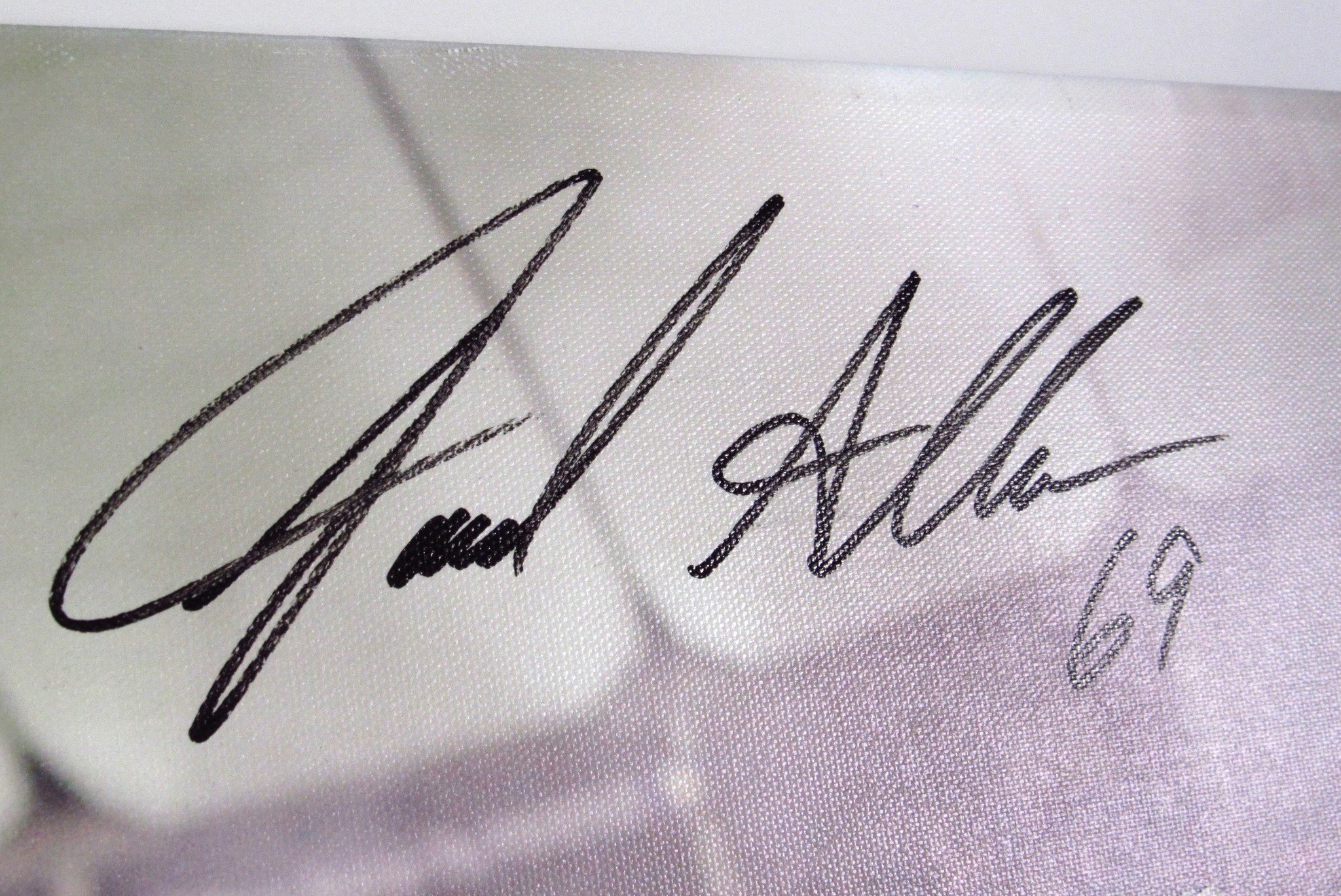 Jared Allen Autographed / Signed 16x20 Canvas Art Print - Not Authenticated