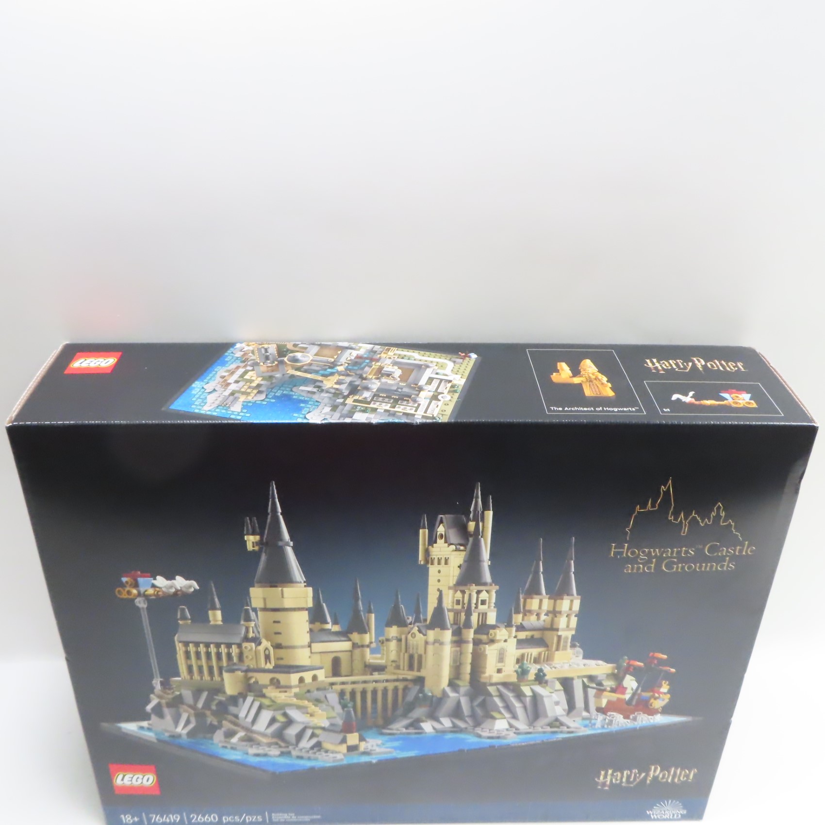LEGO 76419 Harry Potter 2660-Piece Hogwarts Castle and Grounds ...