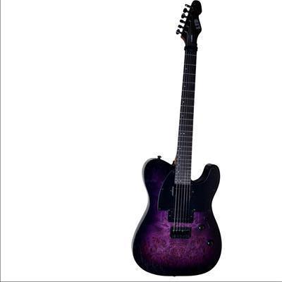 ESP LTD TE-200DX Purple 6-Strings 24-Fret Electric Guitar 1420