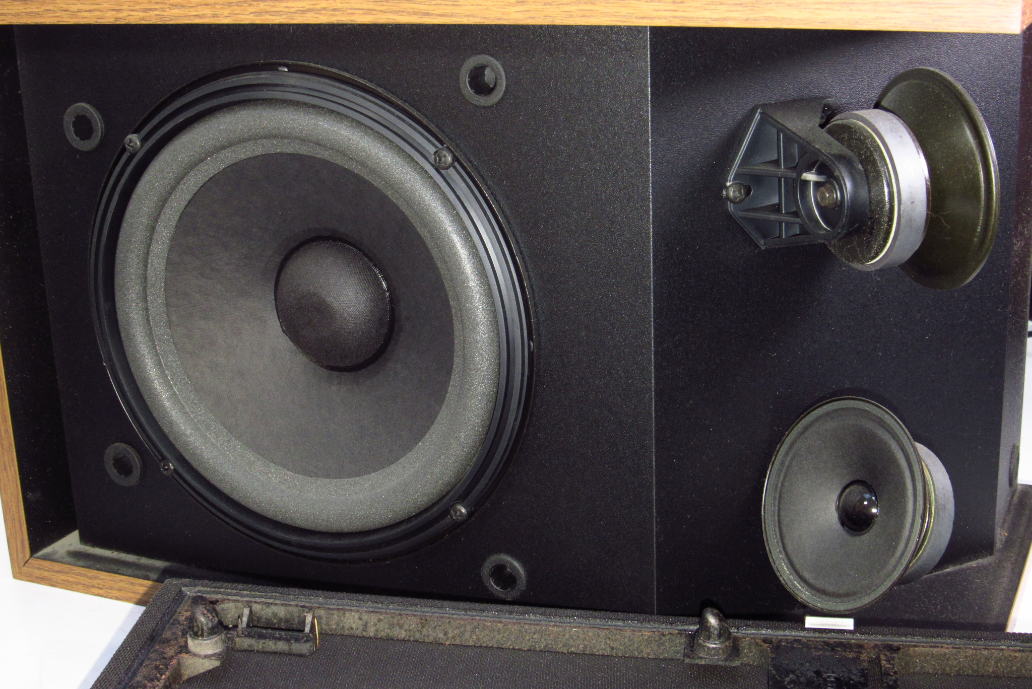 Bose 301 Series III Direct/Reflecting Speakers - Local Pick-Up Only